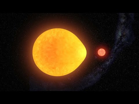 HD74423: star that pulsates on only one side