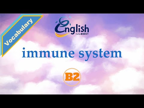 Immune system - Meaning, Pronunciation, & Examples | B2 | Learn English Vocabulary