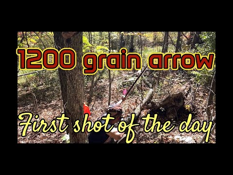 Traditional Archery practice with adult arrows. FSOTD