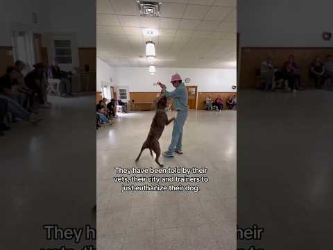 This Dog Trainer Will Not Turn Down Any Dog- Aggressive Or Not.