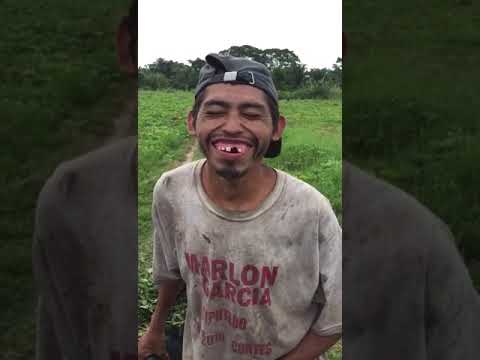 Vídeo de risa. (Nivel dios). 100 % imposible
