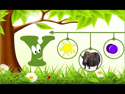 Learn Alphabet Y | Toddler Words | Words That Start With Y | Learning Alphabets For Kids