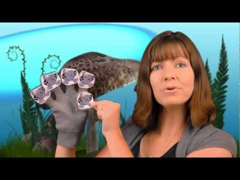 Five Little Speckled Frogs | foxpail