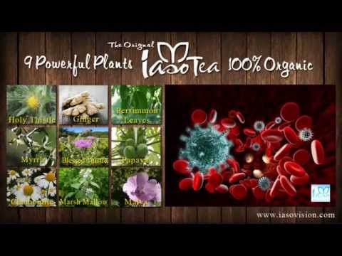 Iaso Tea Ingredients & Benefits II Total Life Changes, MLM, 50% Commission