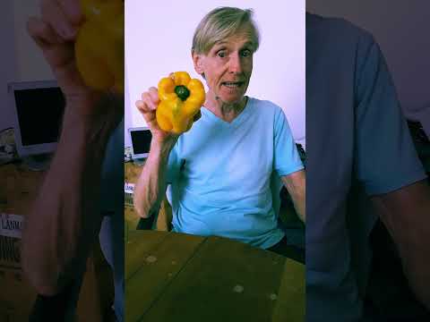 Word of the day - Bell Pepper!