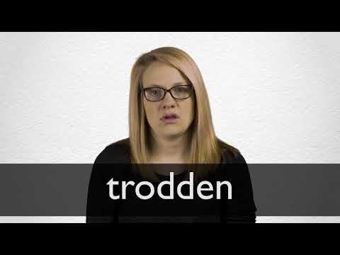 How to pronounce TRODDEN in British English