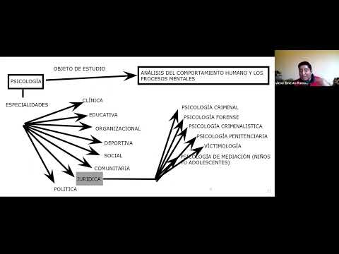 INTRODUCCIÓN A LA PSICOLOGÍA FORENSE