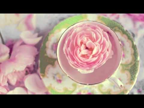 Castilian Rose