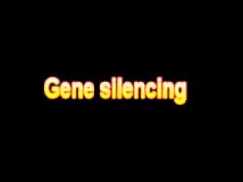 What Is The Definition Of Gene silencing - Medical Dictionary Free Online Terms