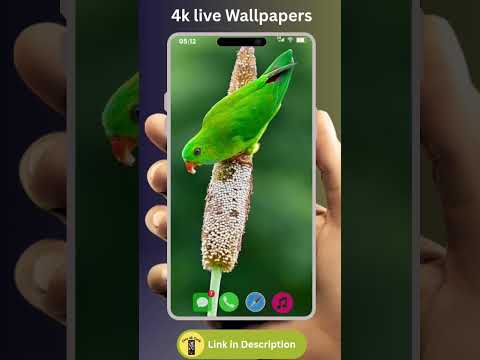 4k wallpapers | 4k images and wallpapers #shorts