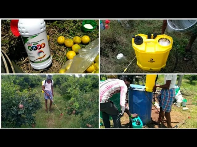 Herbicides - Glycin Glyphosate 54% SL IPA Salt Herbicides Manufacturer ...