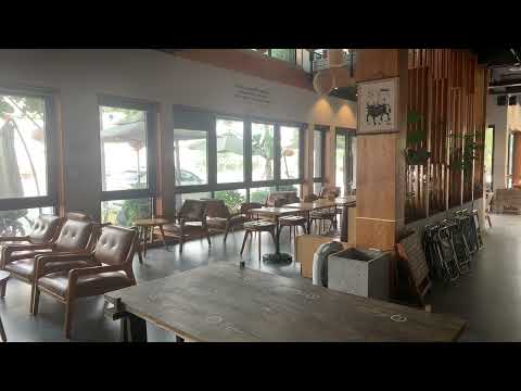 Verdant Views: Coffee Retreats in Nature's Warm Embrace