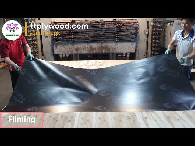 Plywood Sheets - Film Faced Shuttering Plywood Trader - Retailer from ...