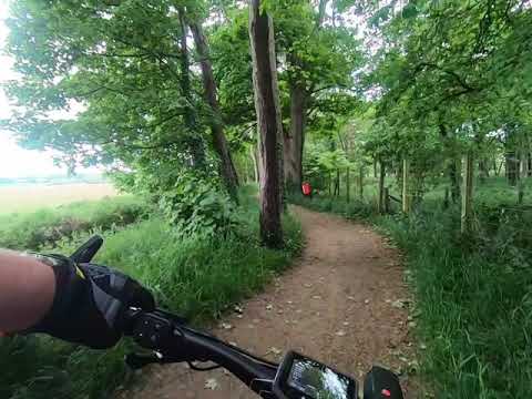 Out on my 2019 giant fathom e+2 29er