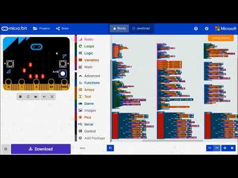 Microbit, Final Game Assignment | Coding @ PMSS