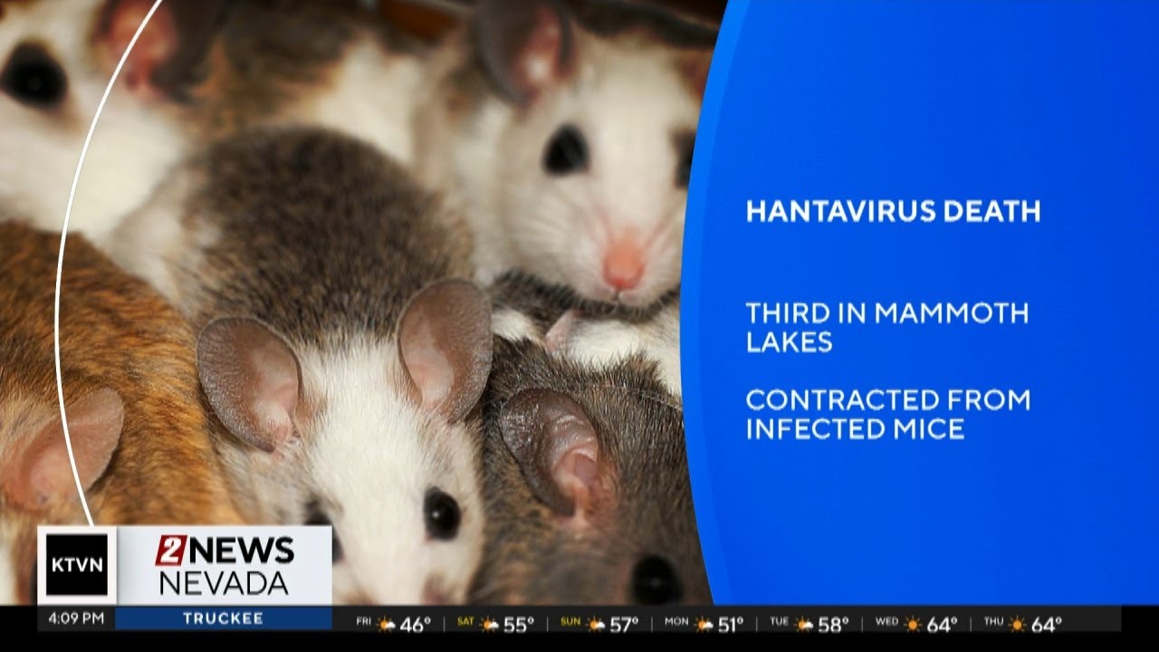 Third hantavirus death confirmed in Mono County