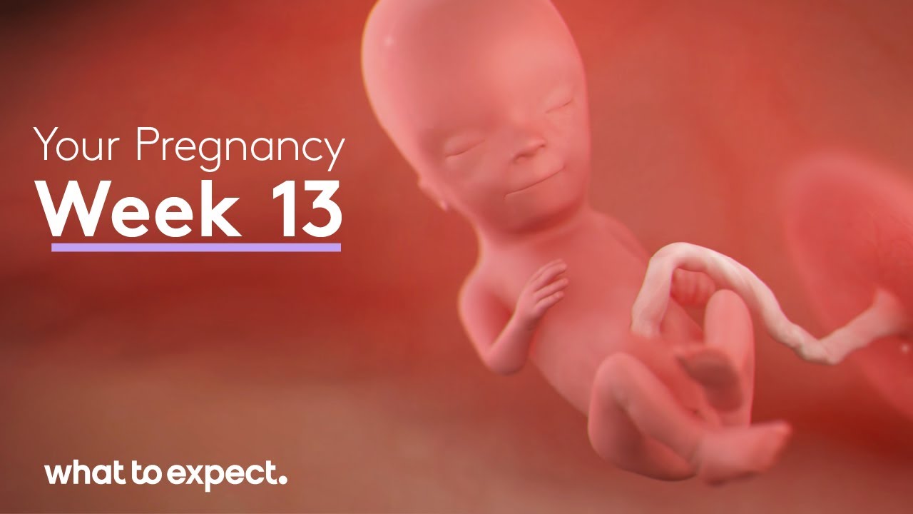 13 Weeks Pregnant - What to Expect