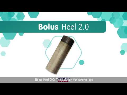 Bolus Heel 2.0
