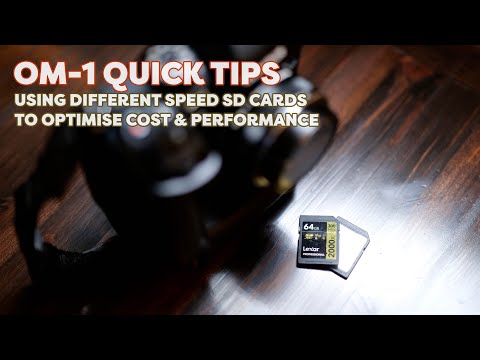 OM-1 Quick Tips: Splitting SD Card Usage for Speed and Affordability