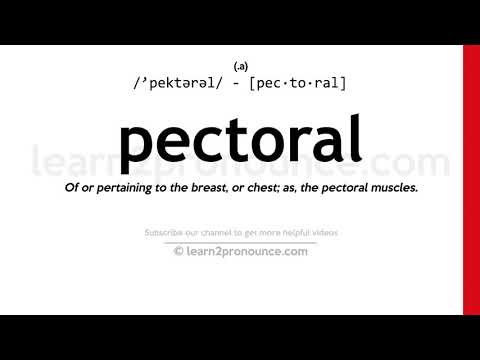 Pronunciation of Pectoral | Definition of Pectoral