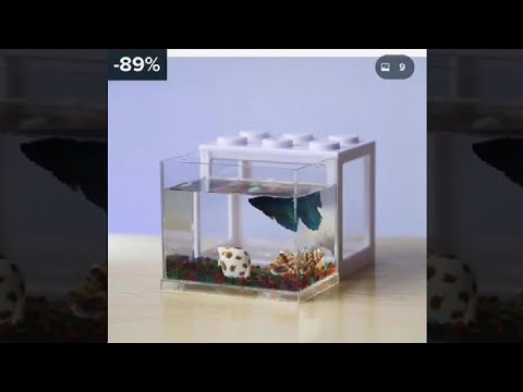 TOP 6 "FISH TANKS" THAT SHOULD NOT EXIST #Shorts