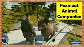 Starfield Foxmeat Animal Companion at Starfield Nexus - Mods and Community