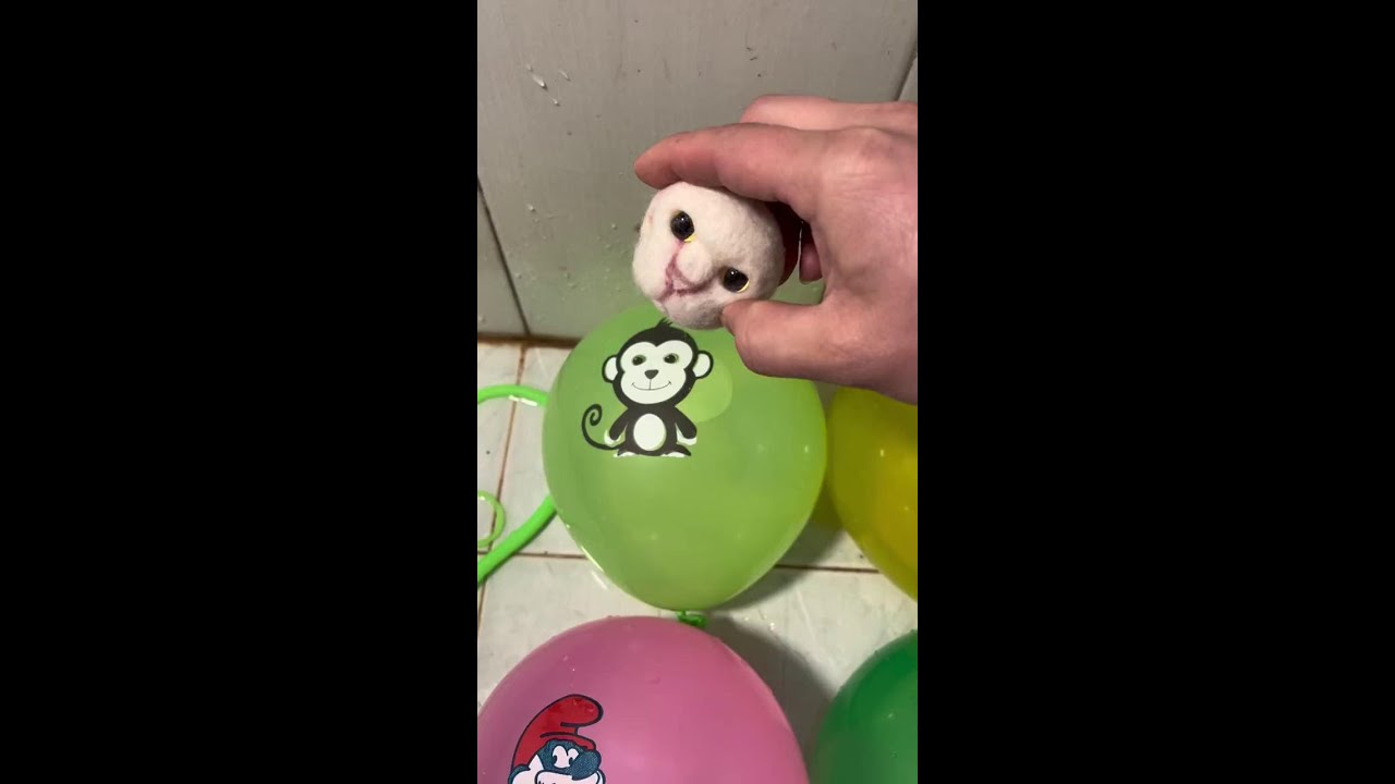 7214002604047715599.mp4