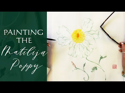 Painting the Matilija Poppy
