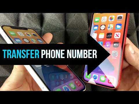 How to Transfer Phone Number to New Phone