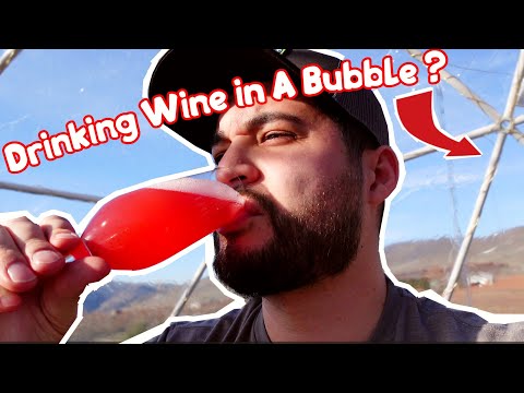 Wine Tasting in Washington's Most Exclusive Winery [ Treveri Cellars ]