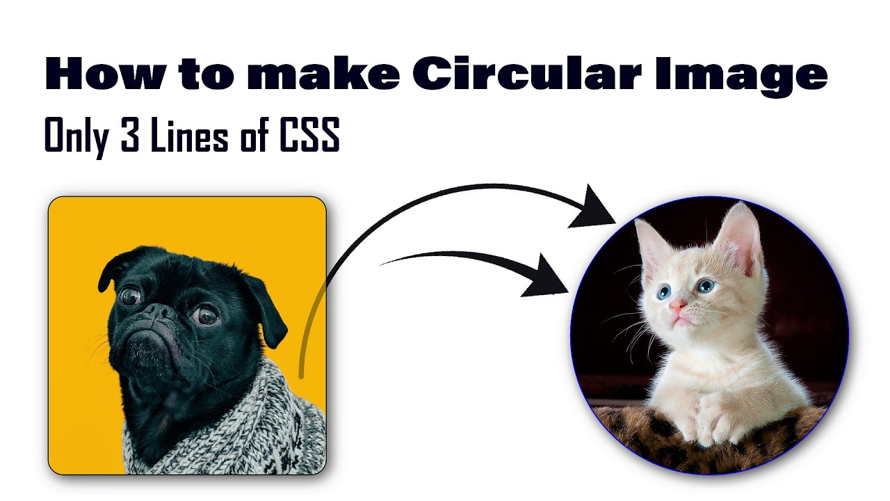 Circular Image in HTML CSS | ProgrammingTT