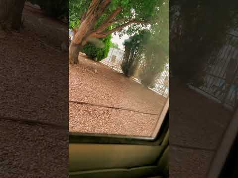 Zackary Ortega motel6 Pueblo Co @Boiesontheroad https://www.youtube.com/watch?v=pIMjO_kL3FQ&t=26s