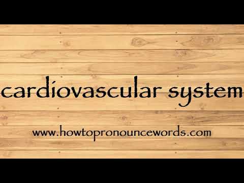 How To Pronounce cardiovascular system