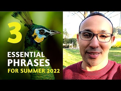 Speak Egyptian Arabic: 3 MUST-KNOW Phrases For Summer 2022