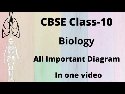 CBSE Class-10 Science Biology All Important Diagram In One PDF💯 || Helpful for Boards || #Shorts