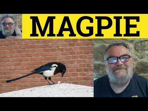 🔵 Magpie Meaning - Magpie Examples - Magpie Defined - Informal English
