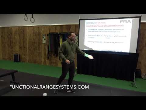 Constraints and skilled movement