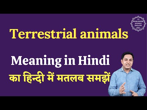 Terrestrial animals meaning in Hindi | Terrestrial animals ka matlab kya hota hai | English to hindi