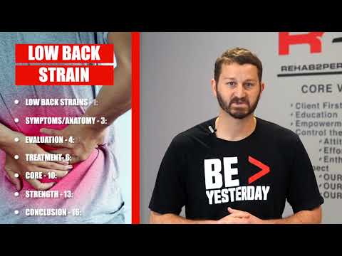 Low back Strain (Anatomy | Symptoms | Common Causes | Treatment)