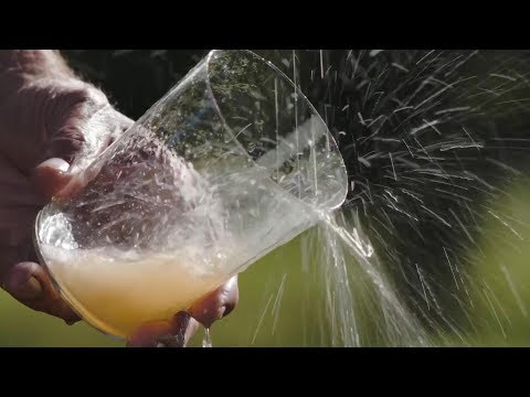 Asturias cider tasting tour