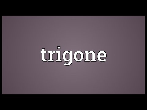 Trigone Meaning