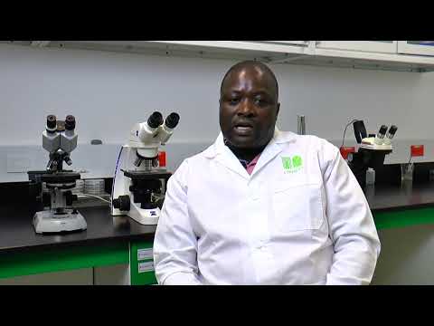 Amos Alakonya explains seed health and pest control