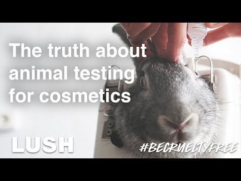 The Truth About Animal Testing for Cosmetics #BeCrueltyFree