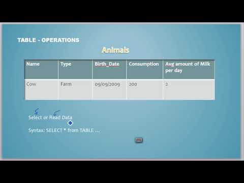 Oracle Database Tutorial 6 What is a Data Manipulation Language