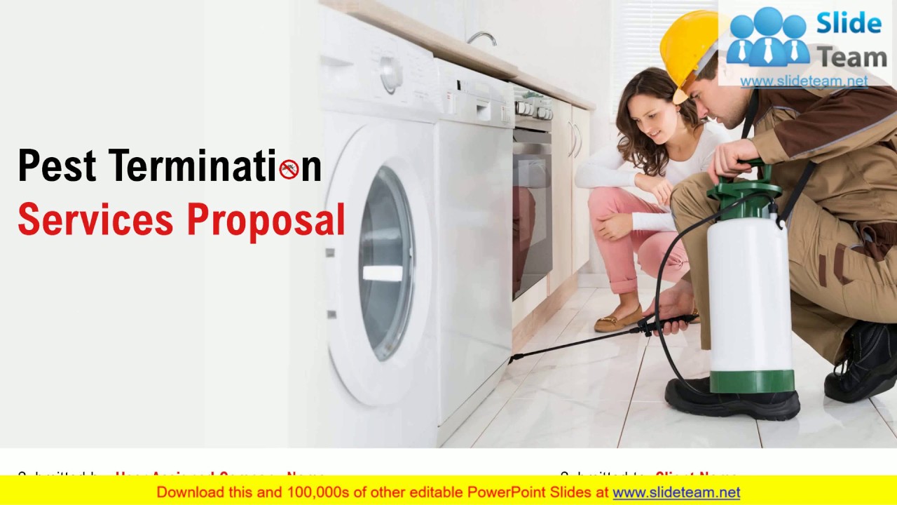 Pest Termination Services Proposal PowerPoint Presentation Slides