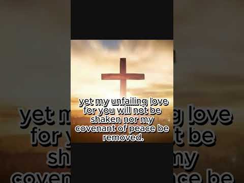 Bible Verse of The Day (14/6/2025) #bibileversetoday #love #gospelofhope #biblepassages #motivation