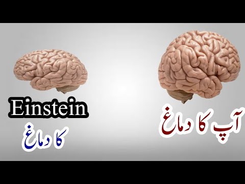What made Einstein a genius Urdu / Hindi