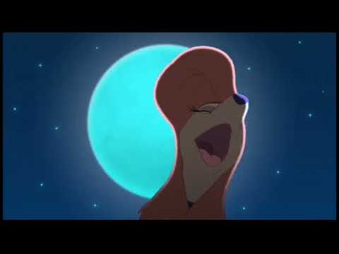 MGM/UA Singing Strays Dixie And Tod Fox Dance