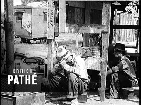 Serious Drought In Montana (1937)