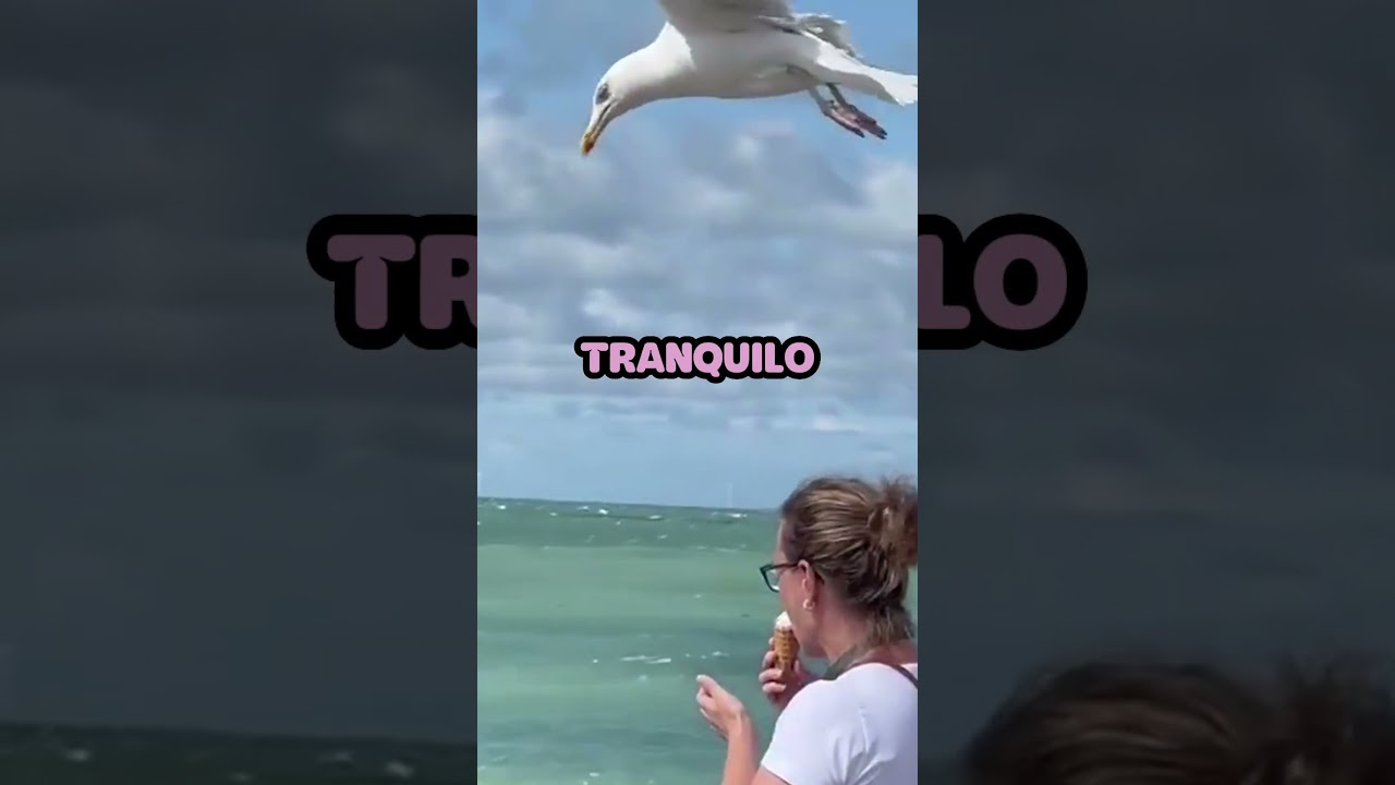 Gaviota picotea el helado de esta mujer y ella no se da cuenta